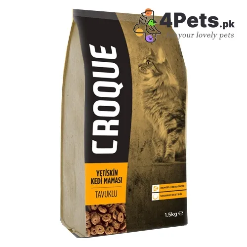 4pets.pk - Online Pets Shop in Karachi, Pakistan